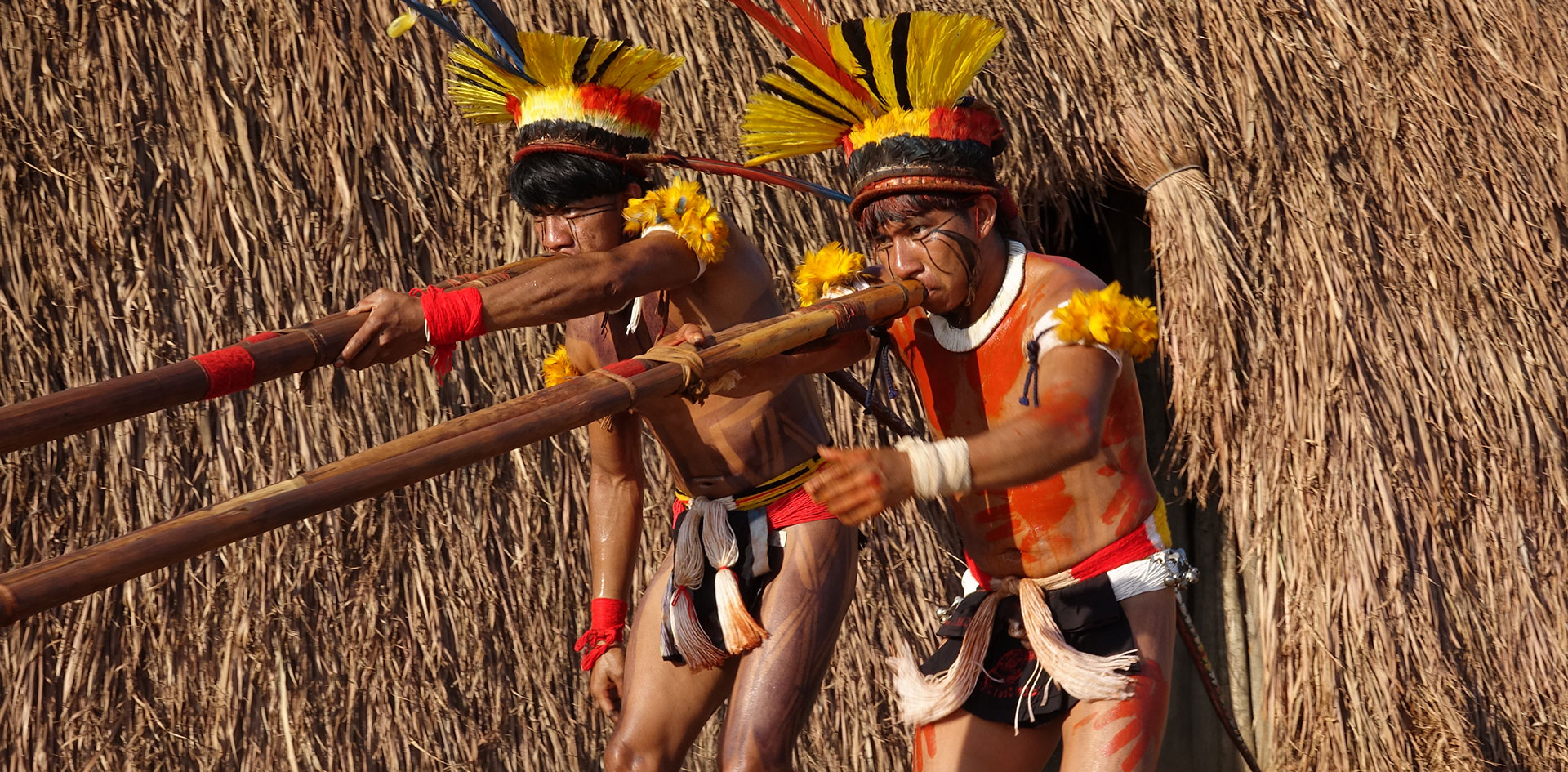 Xingu Tribes Xingu+ Network: We Are The Majority In The Defense Of Our